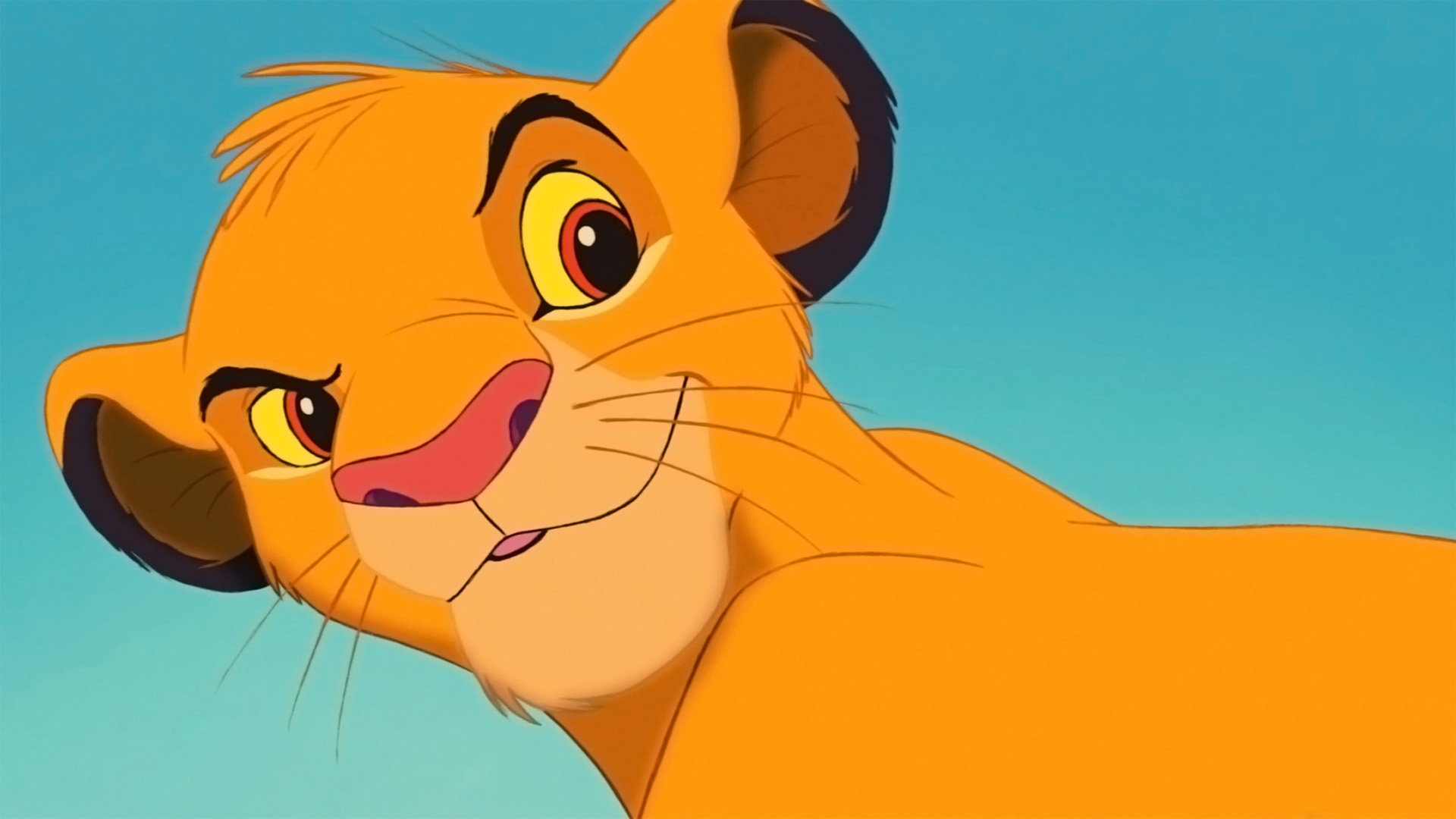 Simba HD wallpapers
