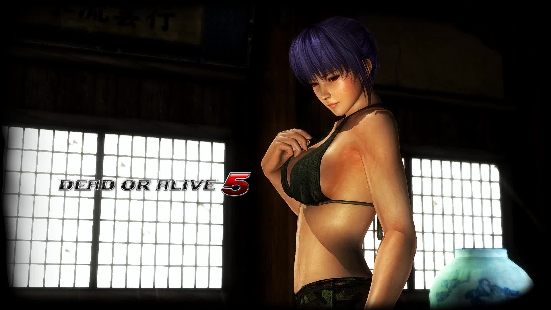 Ayyan in a lilac bikini - Dead or Alive 5 Live Wallpaper | 1920x1080