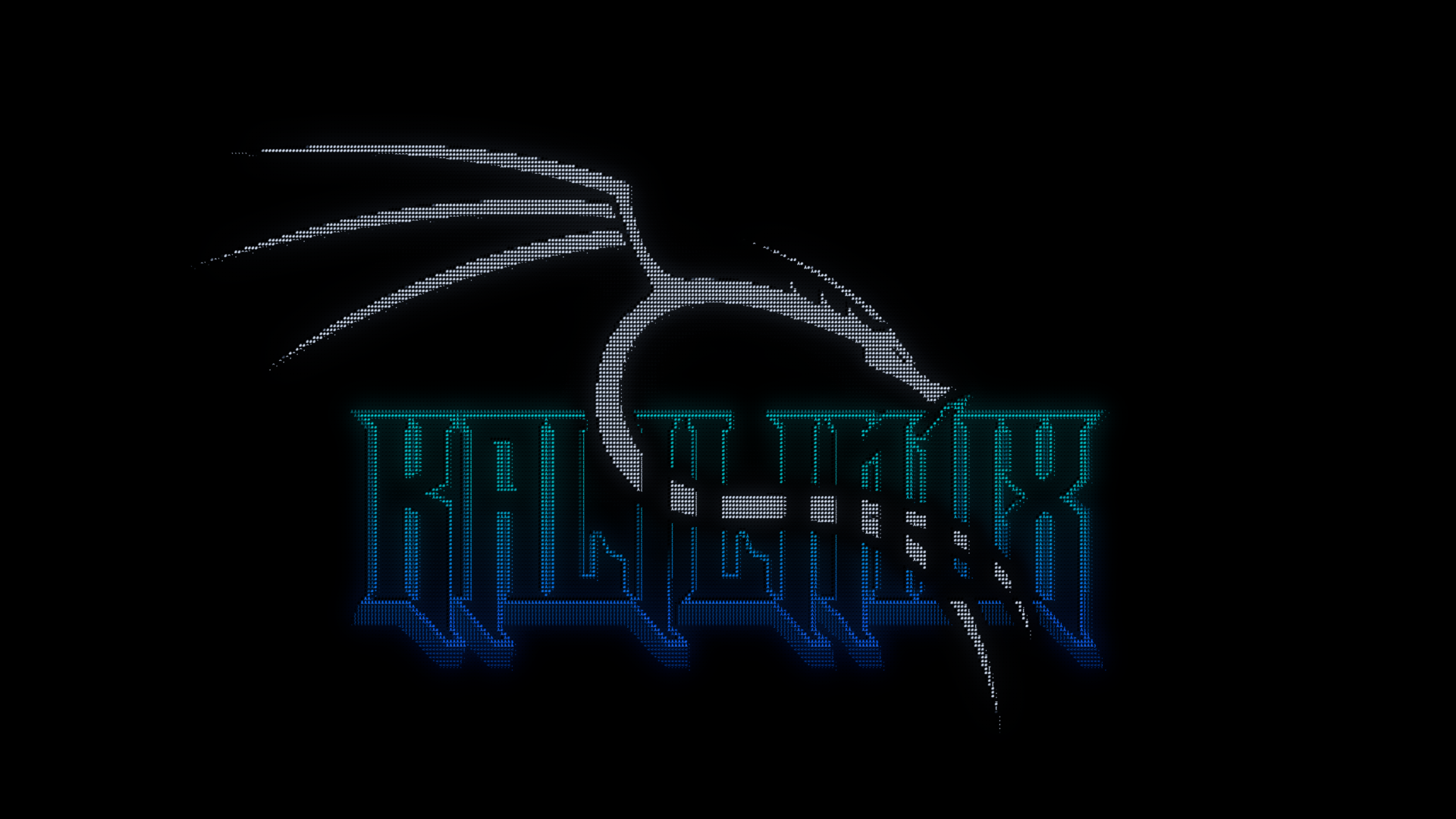 4K, Kali Linux, Linux, Backtrack Linux, HD Wallpaper | Rare Gallery