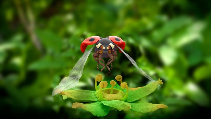 leaves, animals, depth of field, nature, wings, plants, photography ...