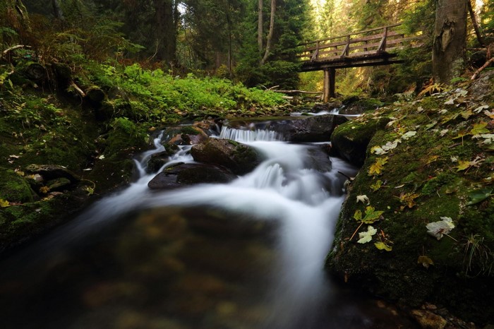landscape, forest, waterfall, water, nature, river, valley, wilderness ...