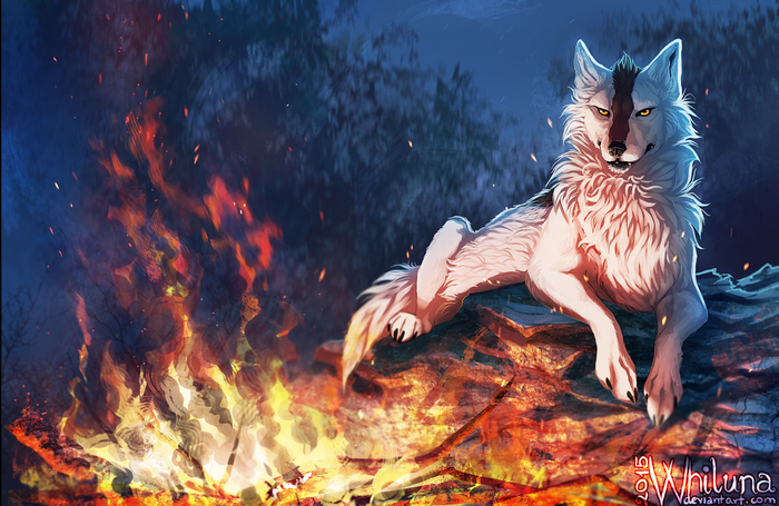 animals, wolf, furry, Anthro, mythology, screenshot, fictional ...