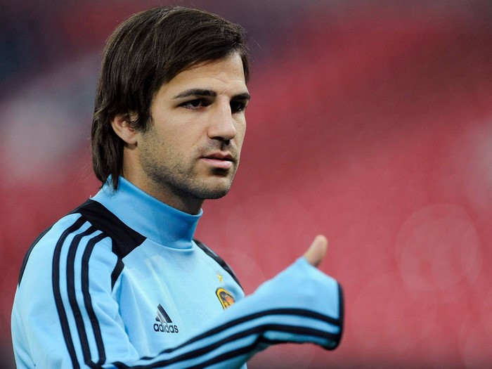 #1161251 men, sports, Spain, footballers, Cesc Fabregas, player ...