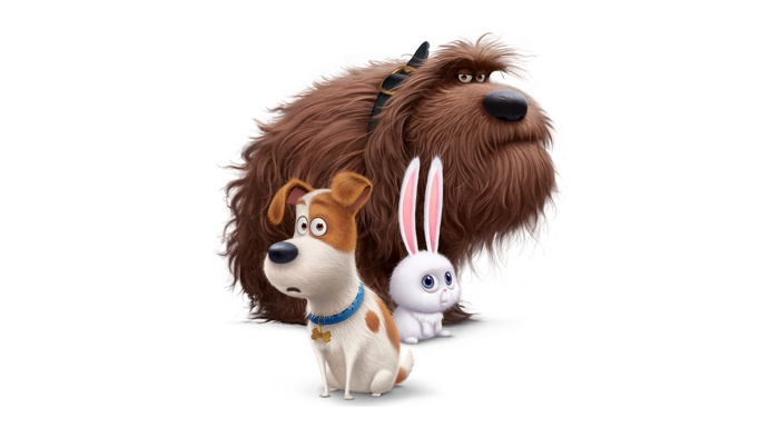 Snowball, The Secret Life Of Pets, Animation, Duke, Max, 8K, HD ...