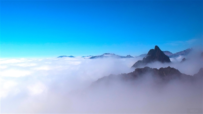 Sea Of Clouds Mountains Peak 4k, HD Wallpaper | Rare Gallery