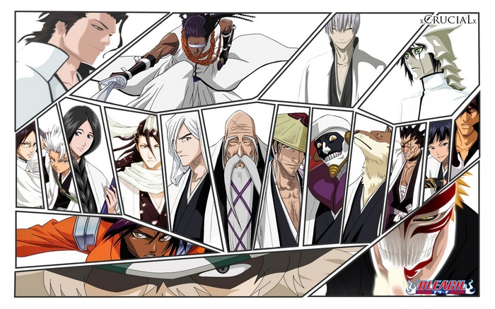 Kurosaki Ichigo, Kuchiki Byakuya, Hitsugaya Toshiro, Mayuri Kurotsuchi, Zaraki Kenpachi, Sajin ...