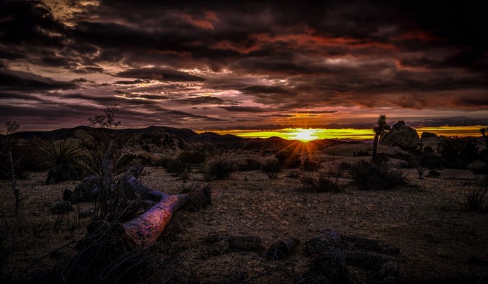 #577209 2560x1600 High Resolution Wallpaper desert - Rare Gallery HD ...