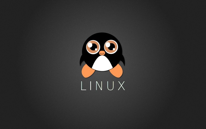 tux, linux, computer, ubuntu, penguin, HD Wallpaper | Rare Gallery