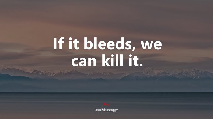 If it bleeds, we can kill it. | Arnold Schwarzenegger quote, HD Wallpaper | Rare Gallery