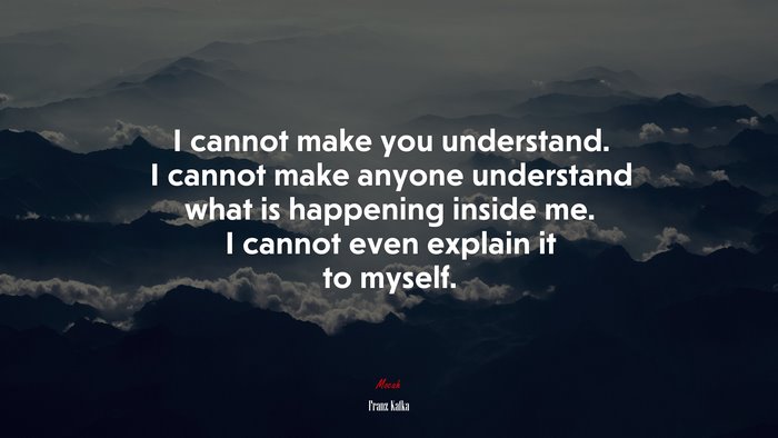 I cannot make you understand. I cannot make anyone understand what is ...