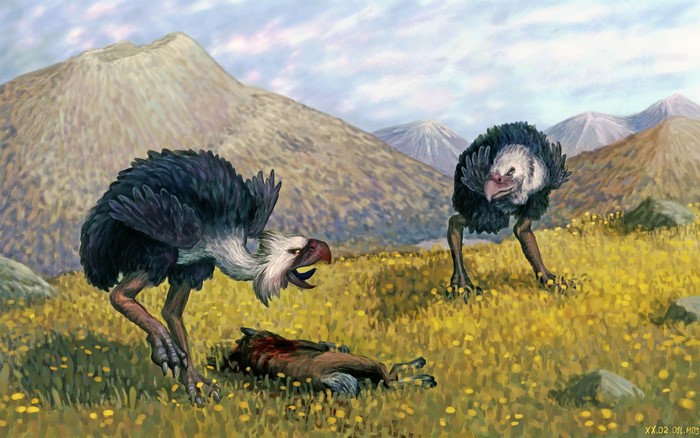 «Rivals» HD wallpapers