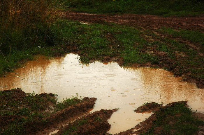 Mud, Puddle, HD Wallpaper | Rare Gallery