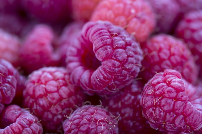 Berry, Raspberry, Closeup, HD Wallpaper | Rare Gallery