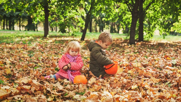 4K, Autumn, Pumpkin, Two, Boys, Little girls, Foliage, HD Wallpaper ...