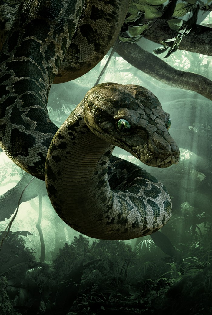 4K, Kaa, Snakes, The Jungle Book 2016 HD Phone Wallpaper | Rare Gallery