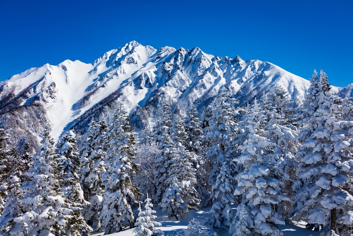 4K, Nagano, Japan, Winter, Mountains, Snow, Spruce, HD Wallpaper | Rare Gallery