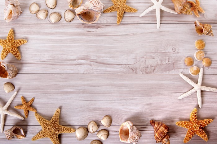 4K, 5K, Shells, Starfish, Wood planks, Template greeting card, HD ...