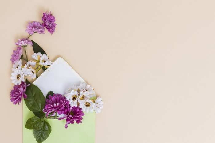 4K, Chrysanthemums, Colored background, Template greeting card HD Wallpaper