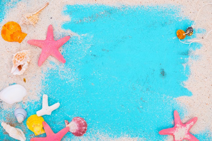 4K, 5K, Starfish, Shells, Template greeting card, Sand, HD Wallpaper ...