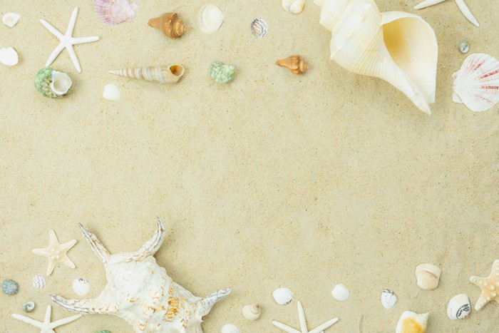 4K, 5K, 6K, Shells, Sand, Template greeting card, HD Wallpaper | Rare ...