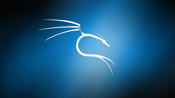 texture, dragon, blue background, Kali Linux, Linux, abstract, HD ...